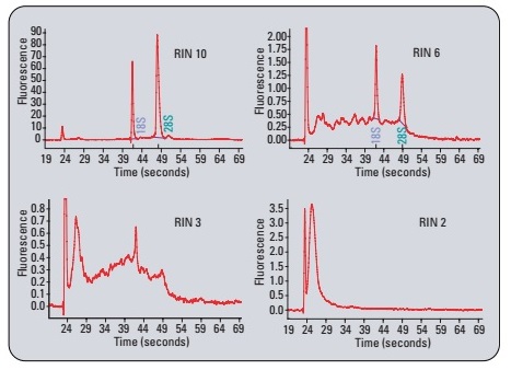 RIN Numbers: How they’re calculated, what they mean and why they’re ...