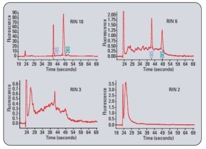 RIN Numbers: How they’re calculated, what they mean and why they’re ...
